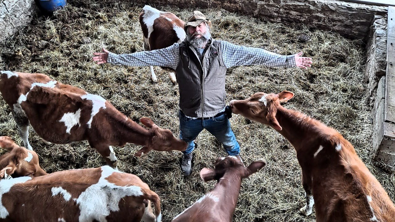 Jeff Corle Live New Year's Eve - YouTube