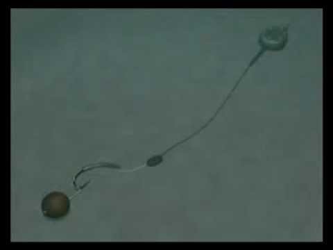 Top Carp Fishing Advanced Bottom Bait Rig - YouTube