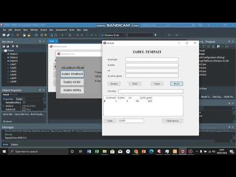 Program CRUD pada Delphi 11 - YouTube