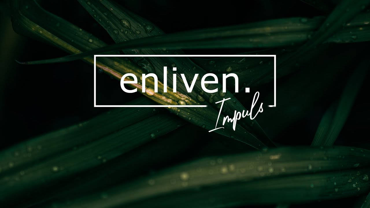 Impuls 13 / Josh Senk "Sichtweise 3" - YouTube