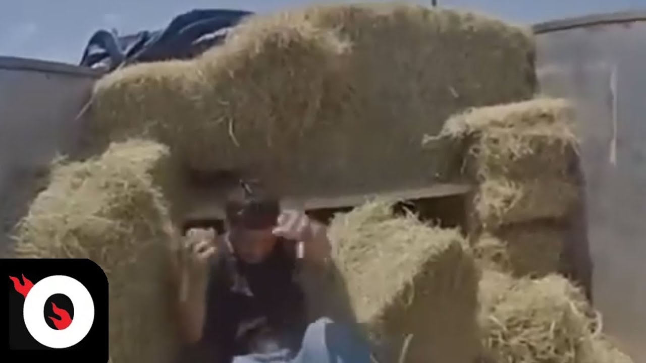 WATCH: Texas Police Find Illegal Immigrants Hiding Under Hay In Trailer ...