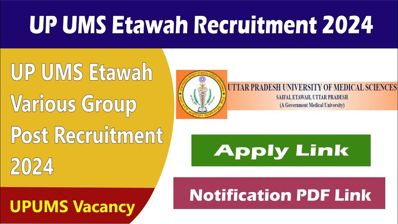 UPUMS Etawah Senior Administrative Assistant, Stenographer Recruitment ...