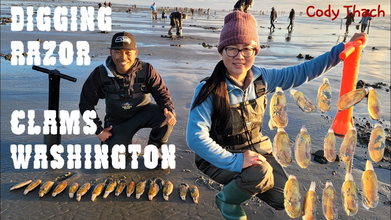 Digging Razor Clams Grayland Beach Washington - YouTube