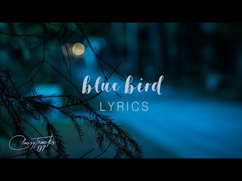 Zachary Knowles - blue bird (Lyrics)