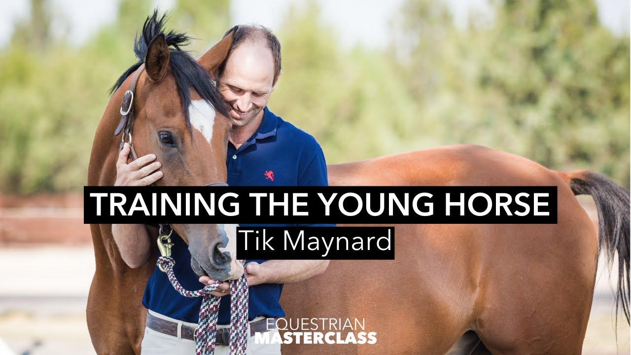 Tik Maynard Teaches Training the Young Horse - YouTube