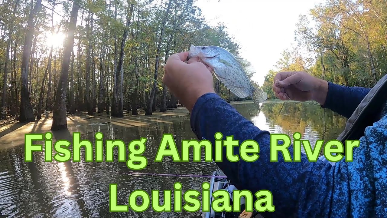 Fishing Amite River Louisiana - YouTube