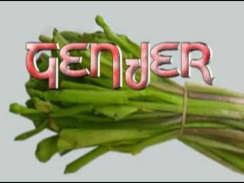 genjer-genjer - YouTube