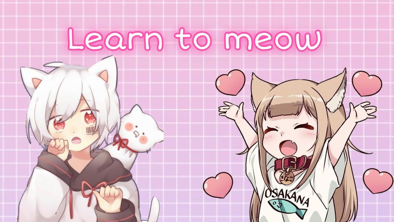 Learn to meow 😻💛 فلنتعلم المواء 🎶 - YouTube