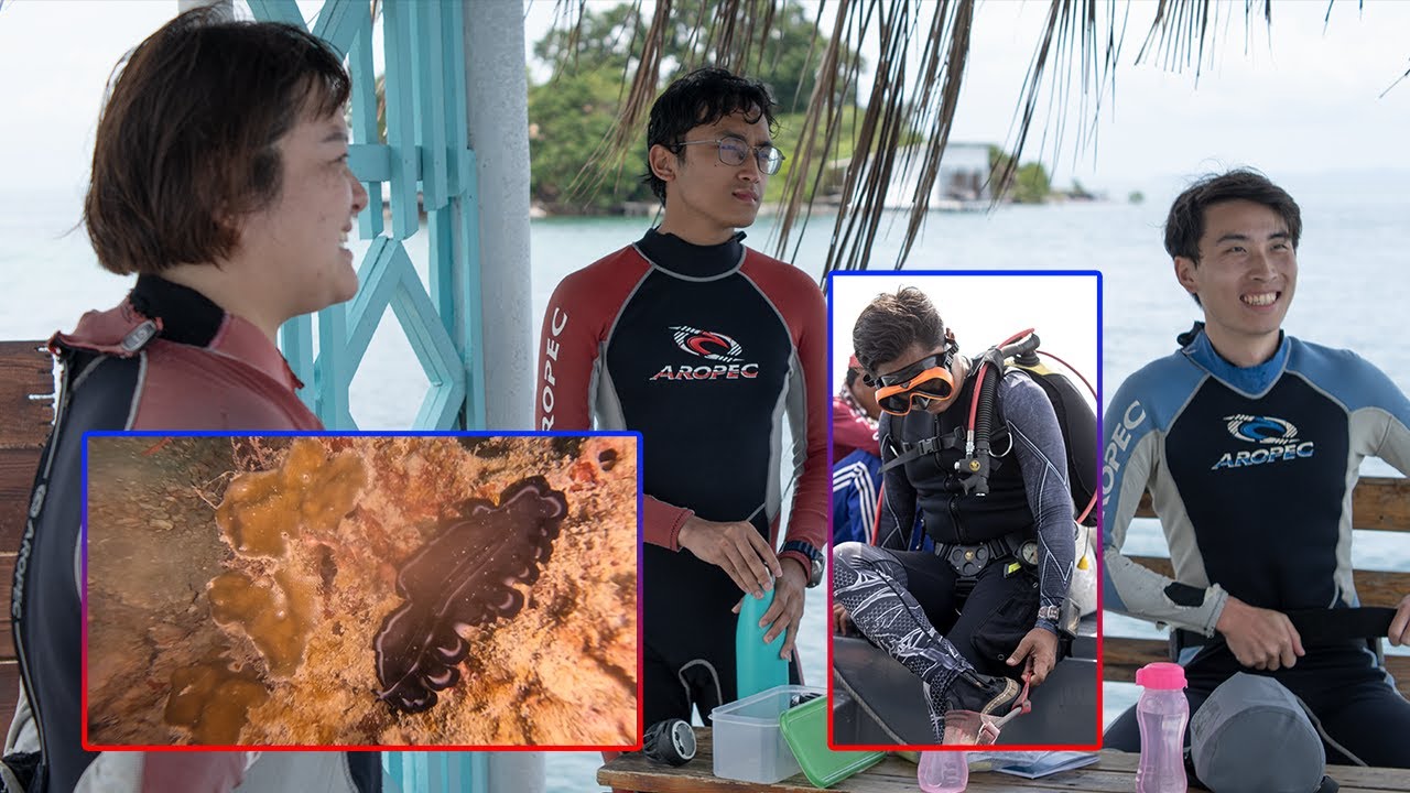 Dive Course Batam | Scuba Diving Certification and Fun Dive Adventure ...