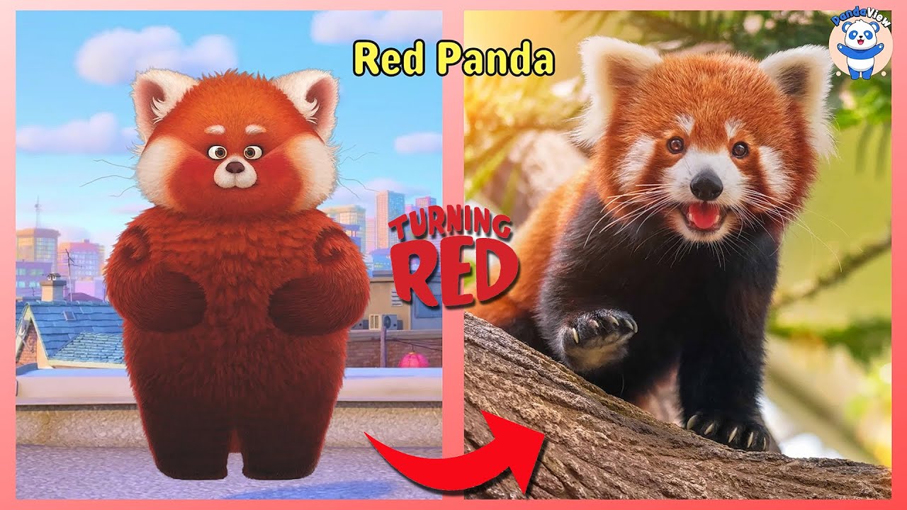 Turning Red Characters In Real Life - YouTube