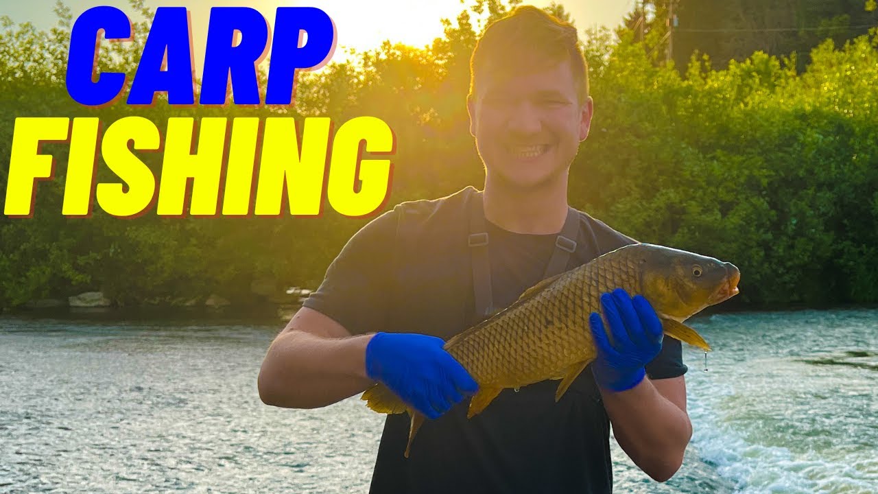Carp Fishing at Fern Ridge Dam - YouTube