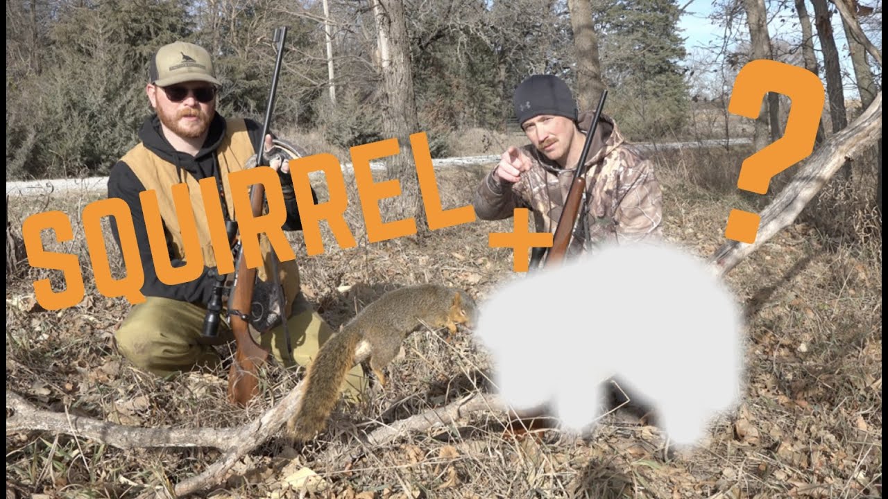 SQUIRREL HUNT TURNED COON HUNT! Thanksgiving Morning Squirrel Hunt ...