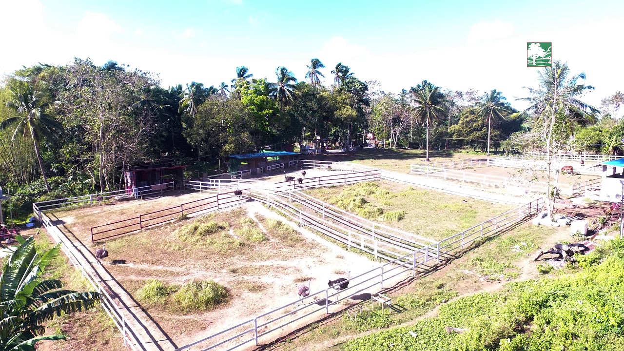 BA Farms Inc. 30-sec. Teaser - YouTube