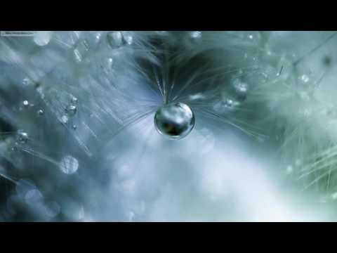 Yüzyılın aşk şarkısı - anlatamam
