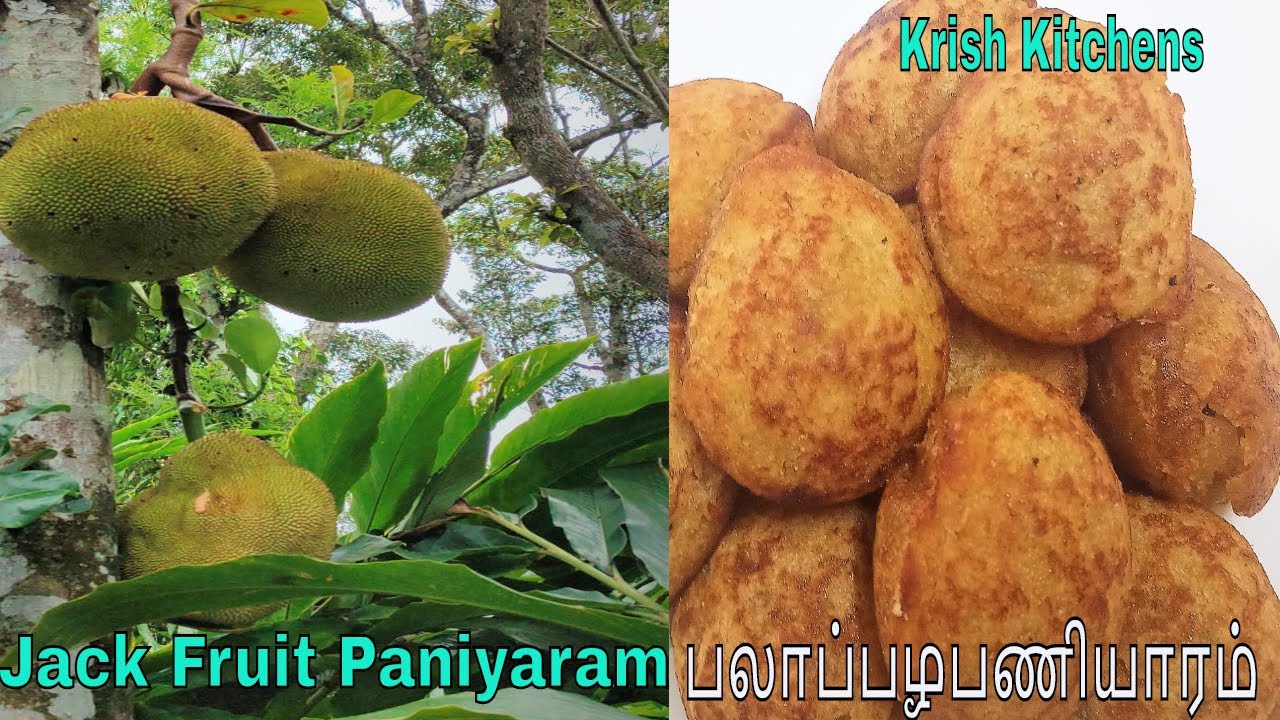 |பலாப்பழபணியாரம்|Jack fruit Paniyaram|Pala Palam paniyaram in Tamil ...