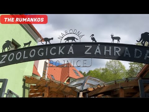 BOJNICE ZOO / zoologická záhrada Bojnice - Part 1 - YouTube