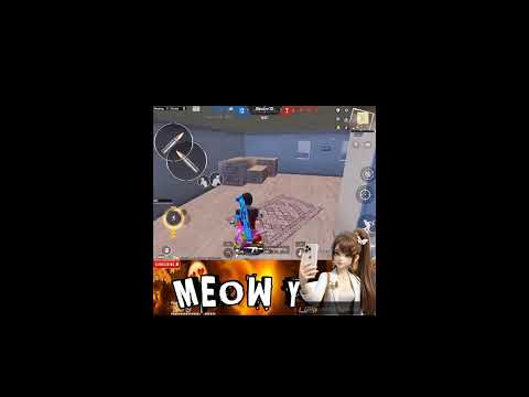 🛑BACK TO BACK CHICKENS IN ULTIMATE ROYALE PASS MEOW IS BACK 🧛‍♀️
