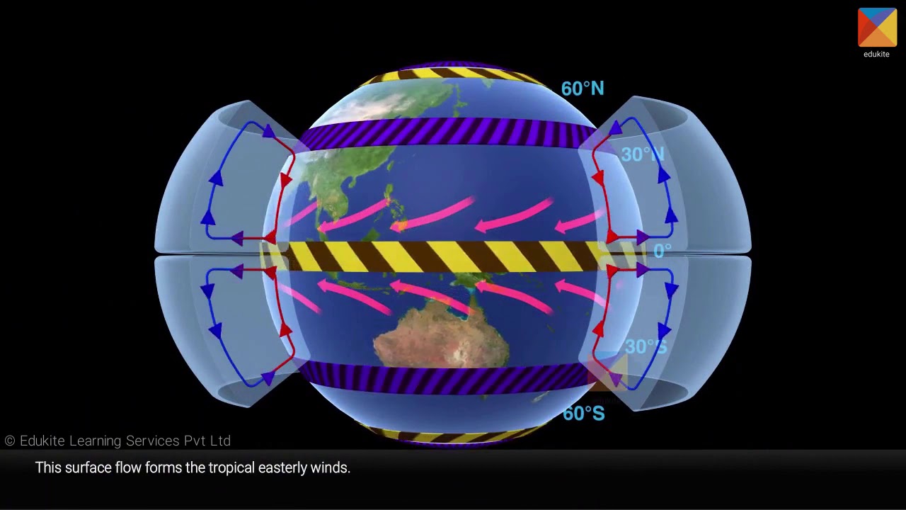 Tri-cellular circulation - YouTube