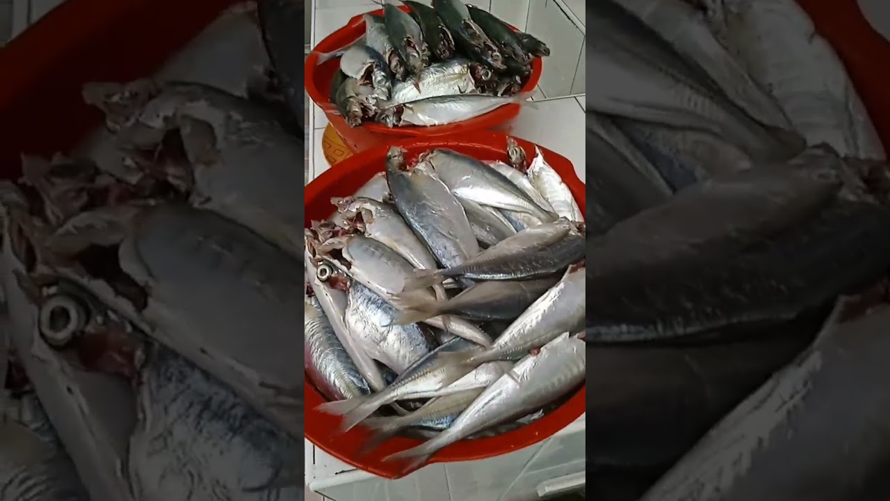 Budget for 2months #galunggung #fish Marie Cuevas Vlog - YouTube