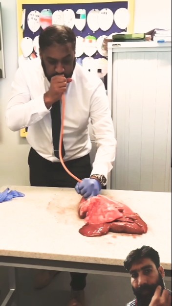 lungs inflation in science #science #food #anatomy #biology #teacher # ...