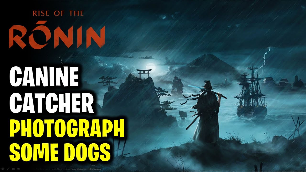 Canine Catcher: Take a Photograph of Some Dogs | Rise of the Ronin ...