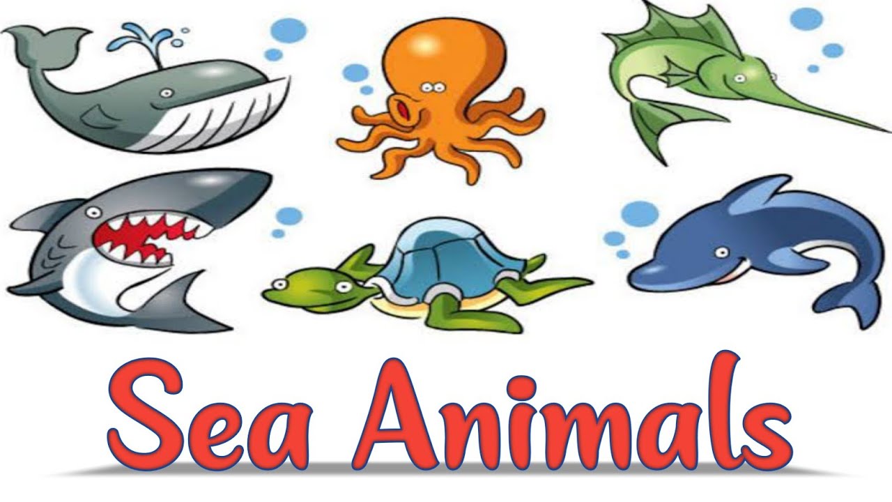 Learn Sea Animals With Colours || Sea Animals || Learn Colours ...