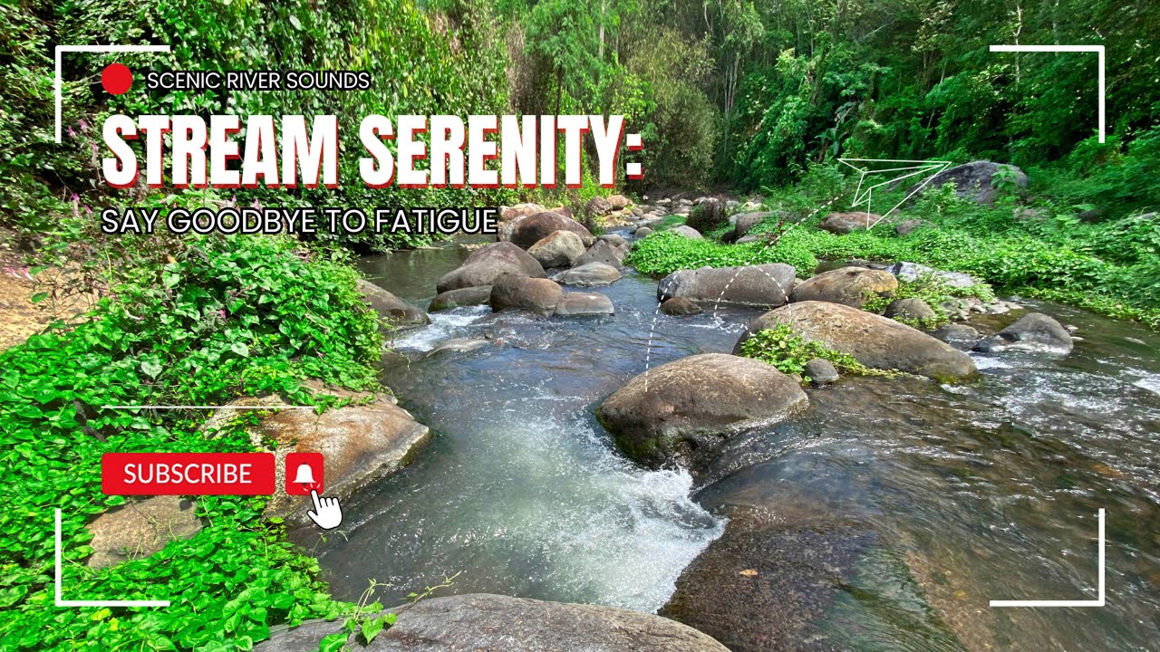 Fend Off Fatigue With Calming Stream And River Sounds For Instant ...