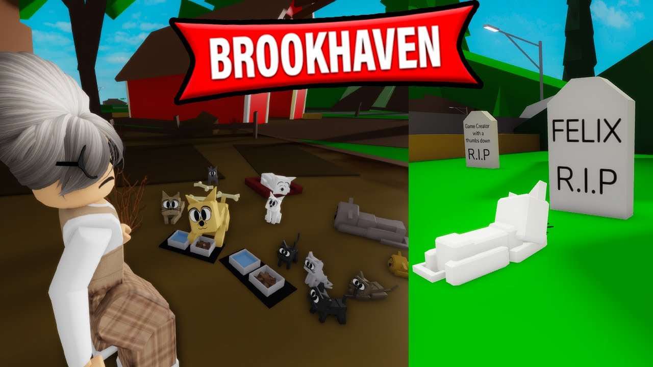 LE CHAT ET LE CHIEN ABANDONNÉS . . . sur BROOKHAVEN RP ! ROBLOX FR ...