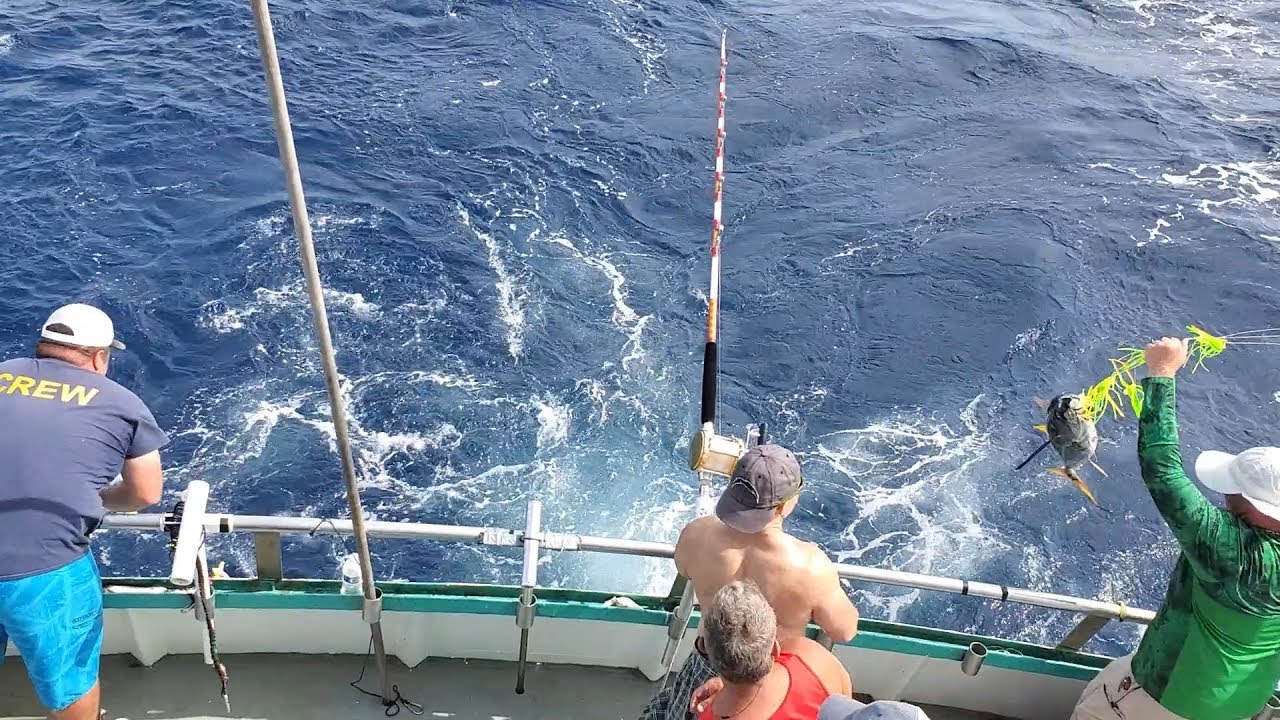 hydrographers canyon swinging tuna over the rails part 2 09/03/2019 ...