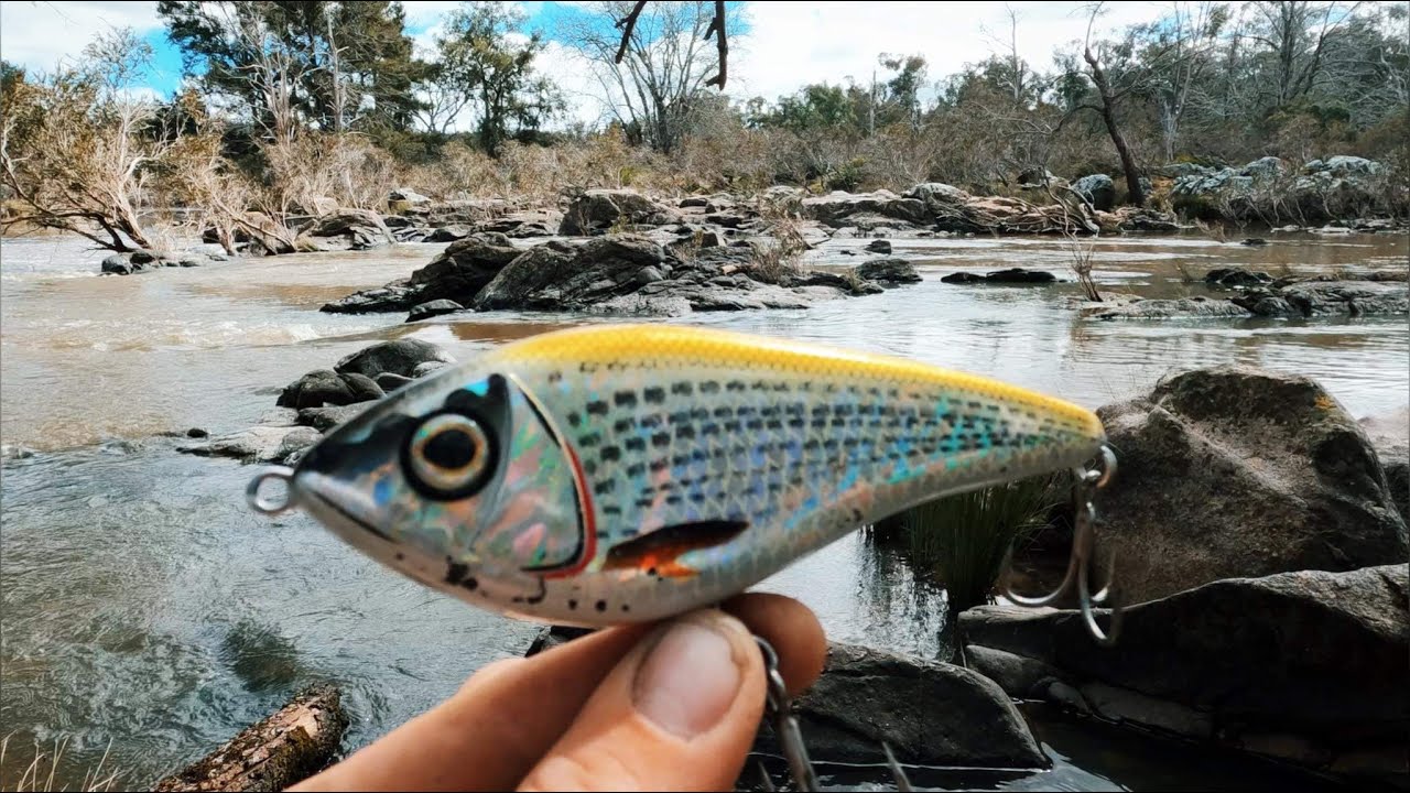 crazy rock pool fishing - big fish caught on big lure - YouTube