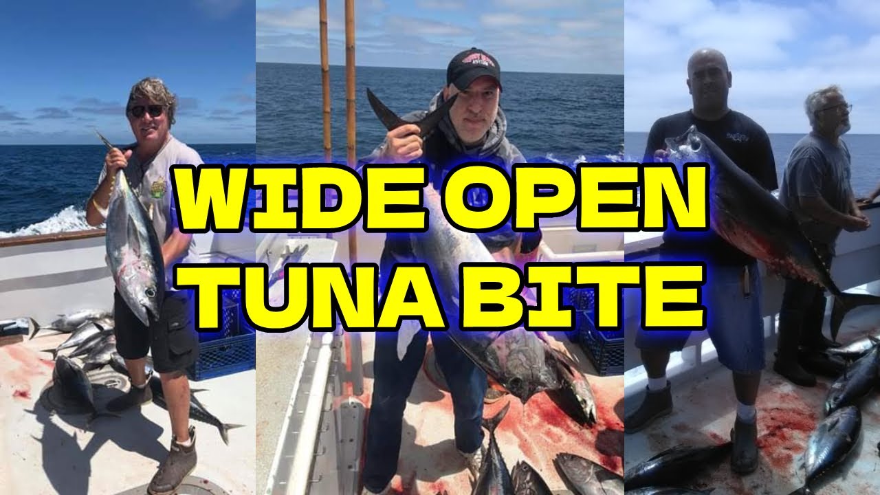 Overnight Tuna Trip aboard the Freedom (Lost Footage) - YouTube