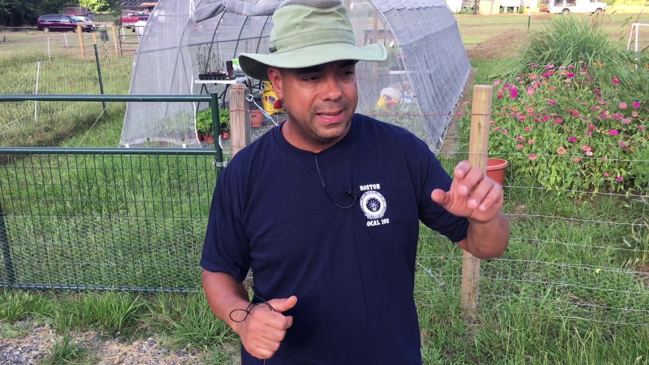 Perma-Pastures Farm Tour! - YouTube
