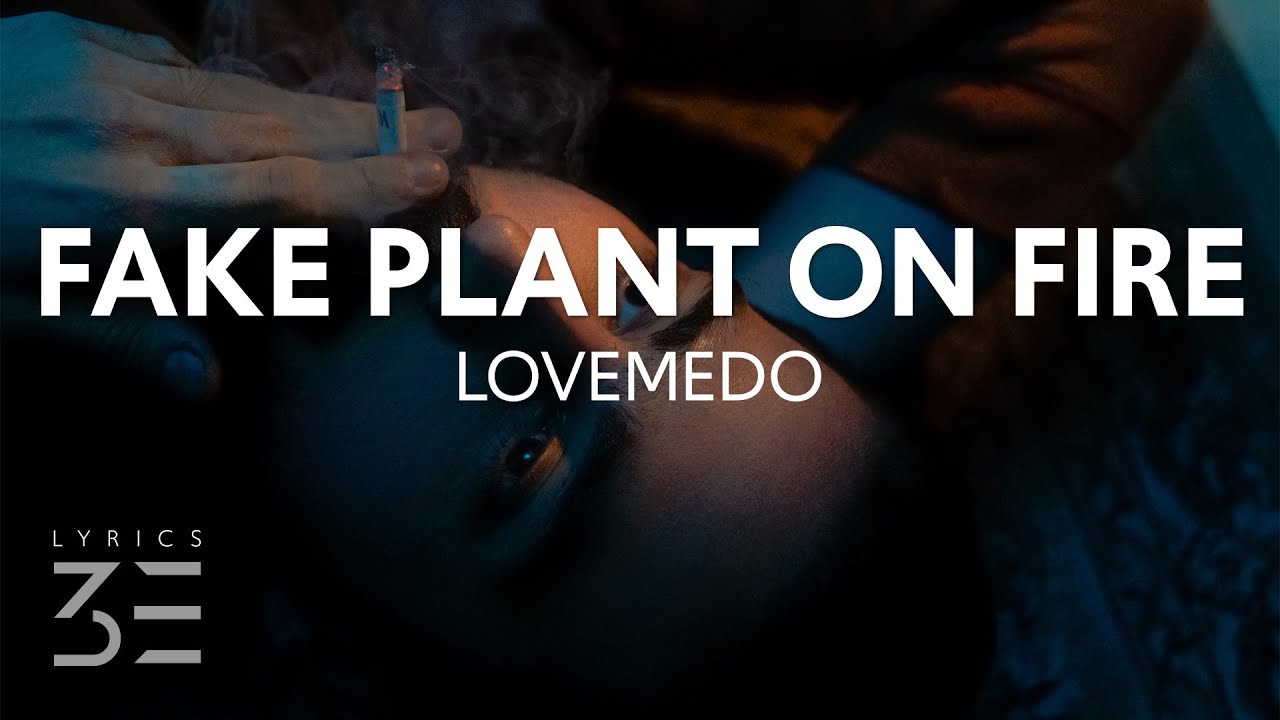 lovemedo - Fake Plant On Fire (Lyrics) - YouTube Music