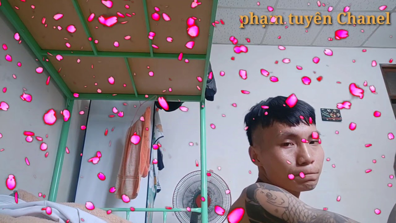 Vì con - phú lê [phạm tuyên cover…] - YouTube