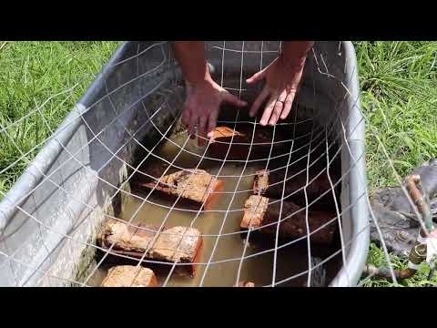 How To Keep A Water Trough Garden Clean
