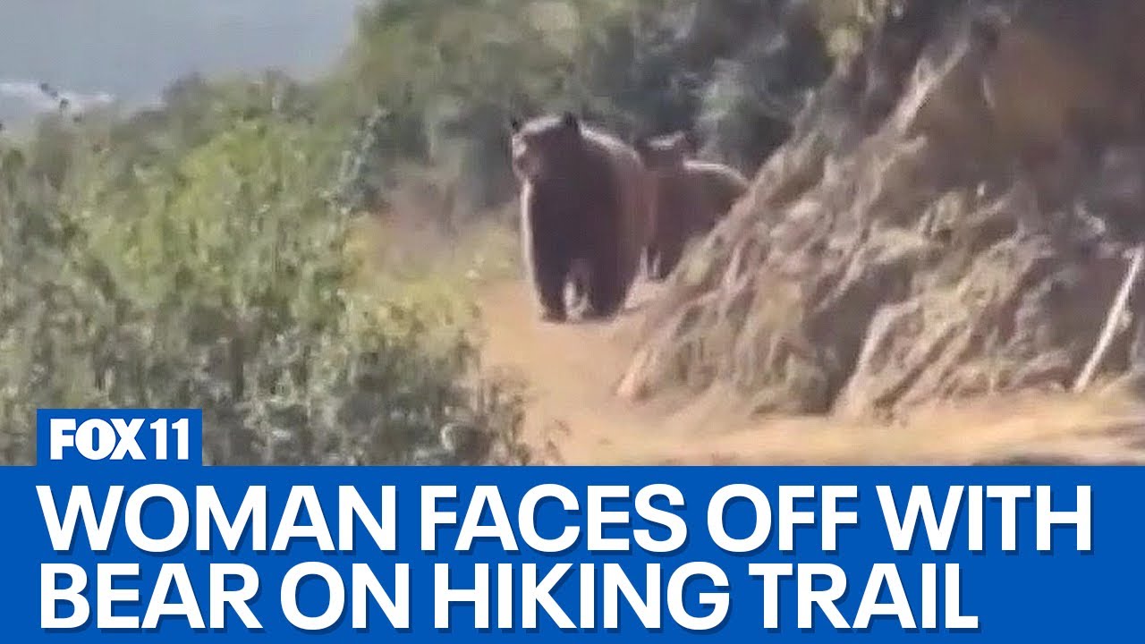 California woman roars at bears during tense encounter on hiking trail ...