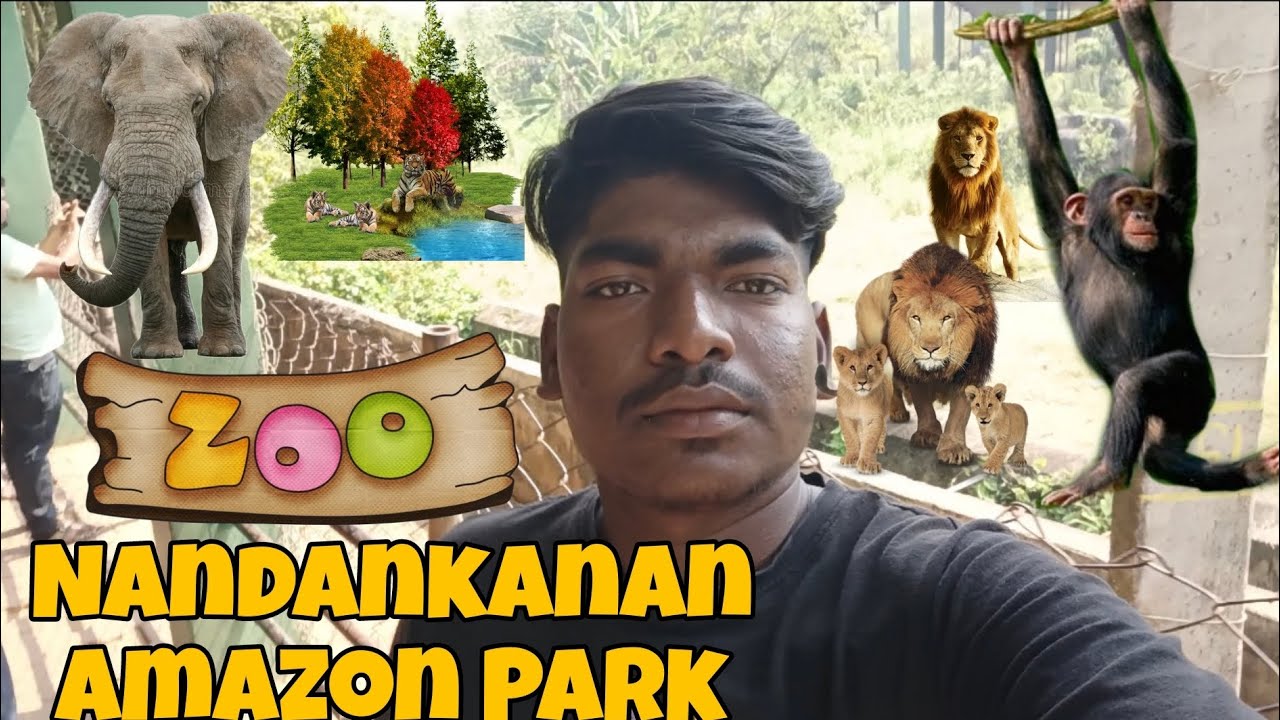 Amazon Park Nandankanan zoo 🐘🐼🐯#youtube #subscribe #vlog #trending #new ...