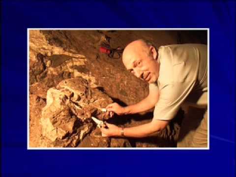 Life Sciences - Grade 10 - Lesson 08 - History of life on Earth - Part ...