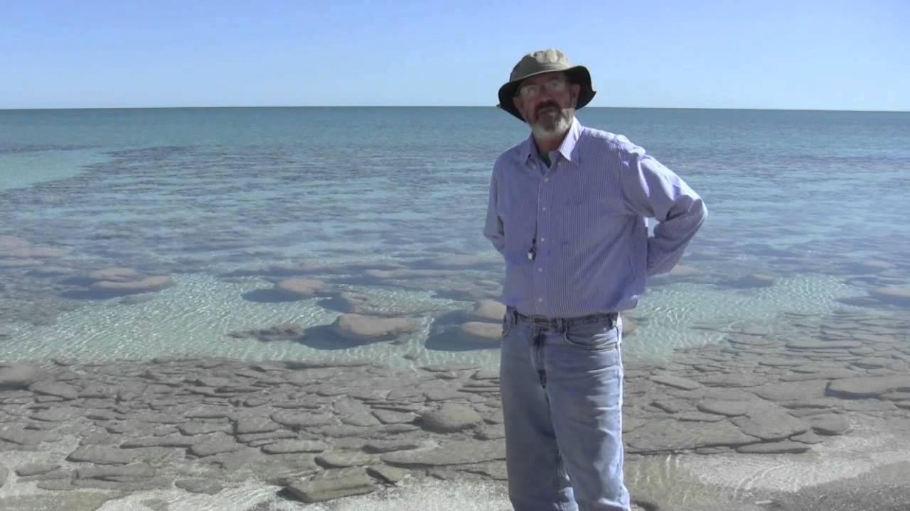 The great oxygenation event - YouTube