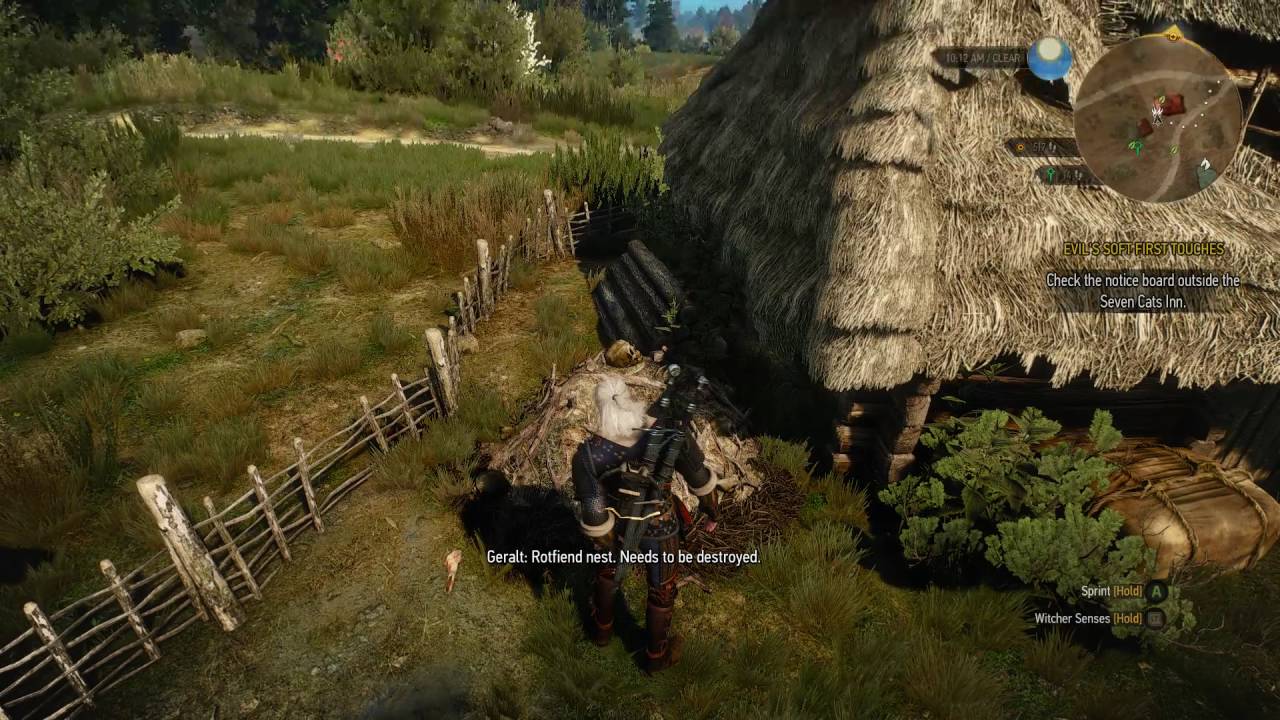Witcher 3 Rotfiend nest - YouTube