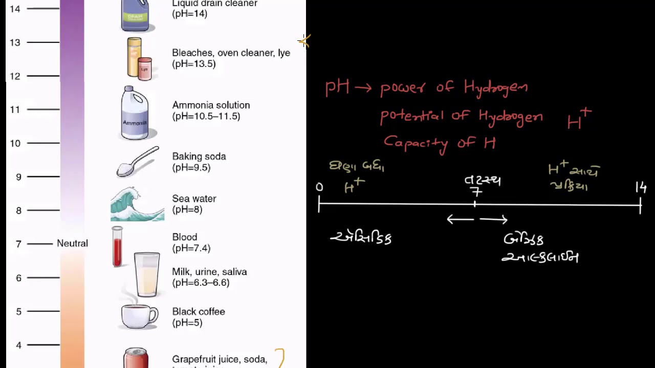 pH નો પરિચય - YouTube