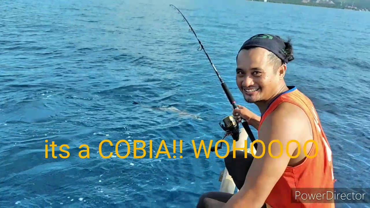 COBIA CAUGHT ON JIGGING || HALWAN TASIK IN NAGA CEBU PHILIPPINES ...