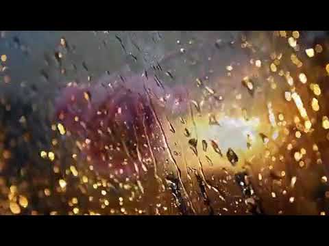 İnsan, sevdikçe gerçek kimliğini kazanıyor! Dinle; sevgi, aşk ve kalp ne ister ve neden önemli?