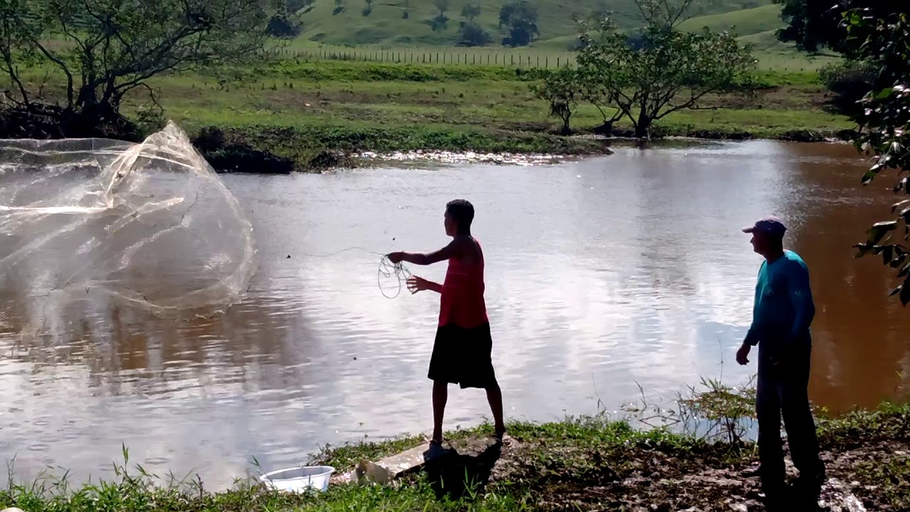 Saiba como jogar tarrafa com um profissional - YouTube