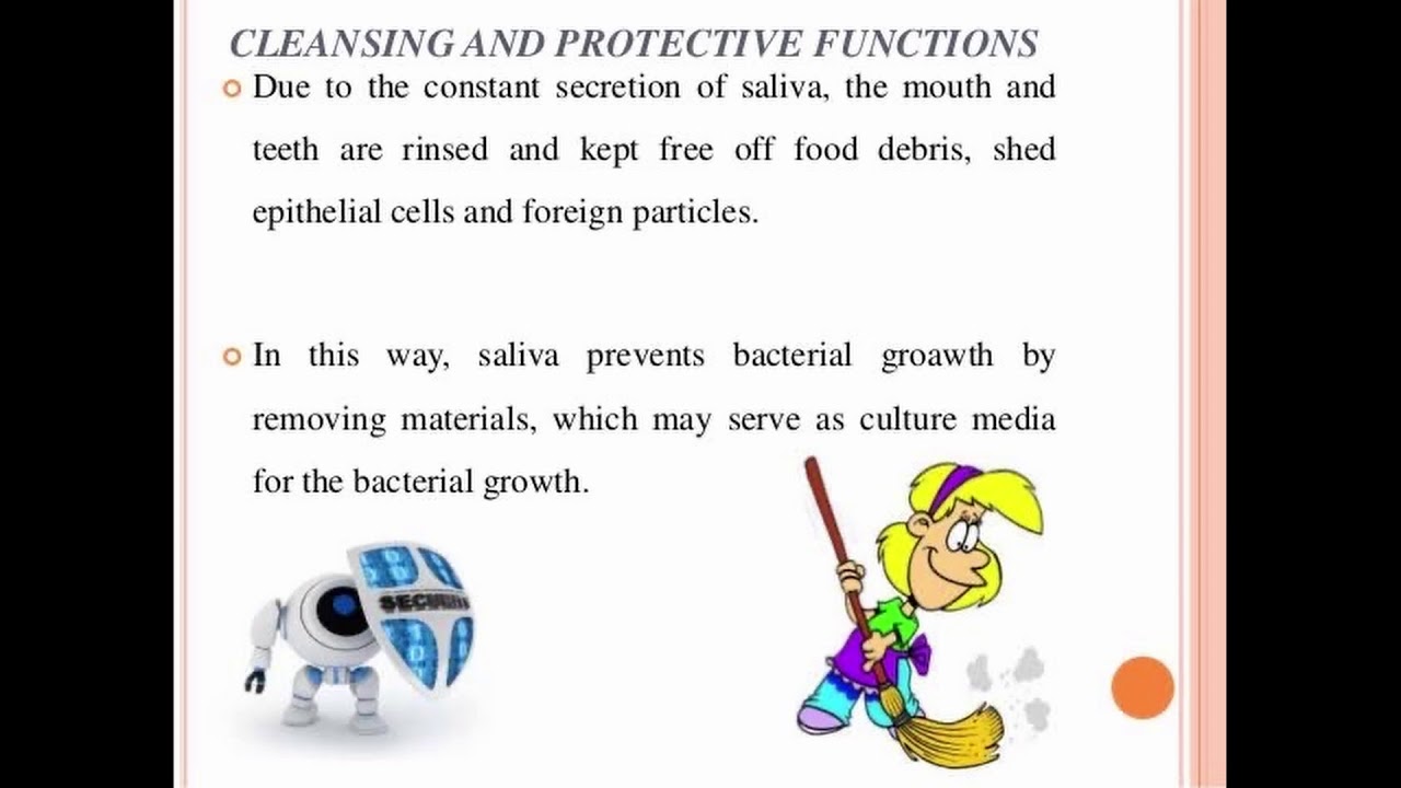 SALIVA , COMPOSITION , PROPERTIES AND FUNCTIONS - YouTube