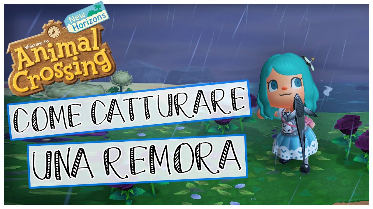 Come catturare una remora Animal Crossing New Horizons #AcNh # ...