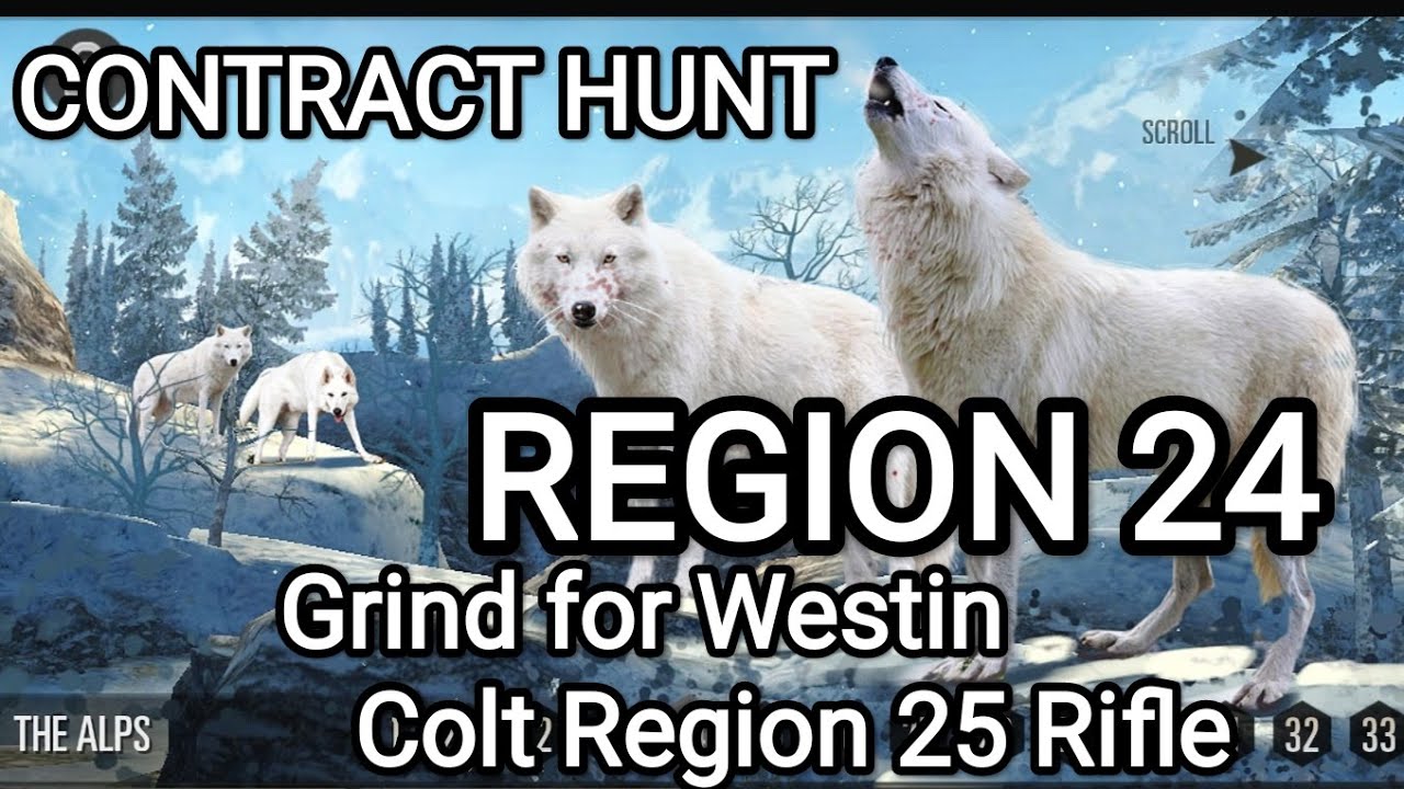 Perfect Kill Streak! 🦌🎯 | Region 24 Contract Hunt FULL Gameplay | Deer ...