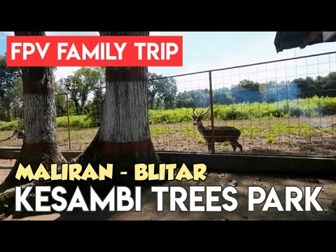 KESAMBI TREES PARK - Maliran Blitar (FPV Family Trip) - YouTube