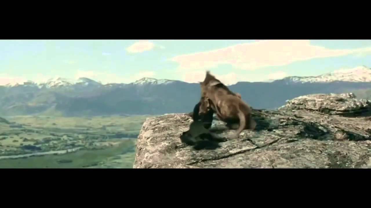 LOTR Two Towers Low Budget Remake of Aragorn Falling Over a Cliff - YouTube