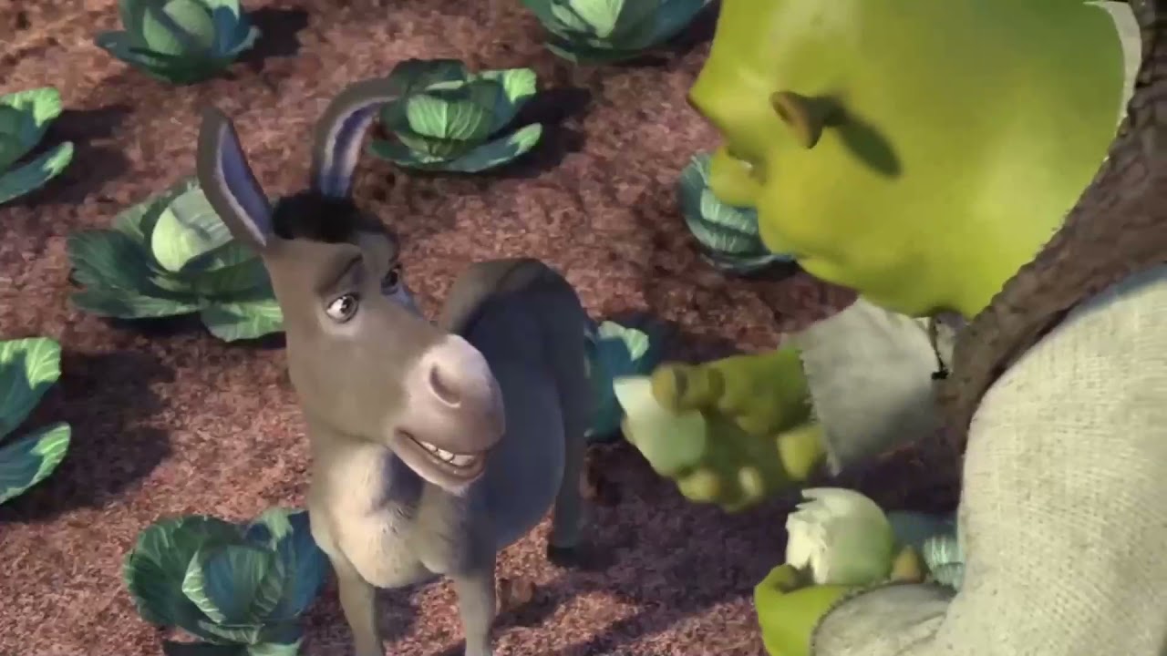 Shrek but its only 10 seconds a day and every second is random 46 - YouTube